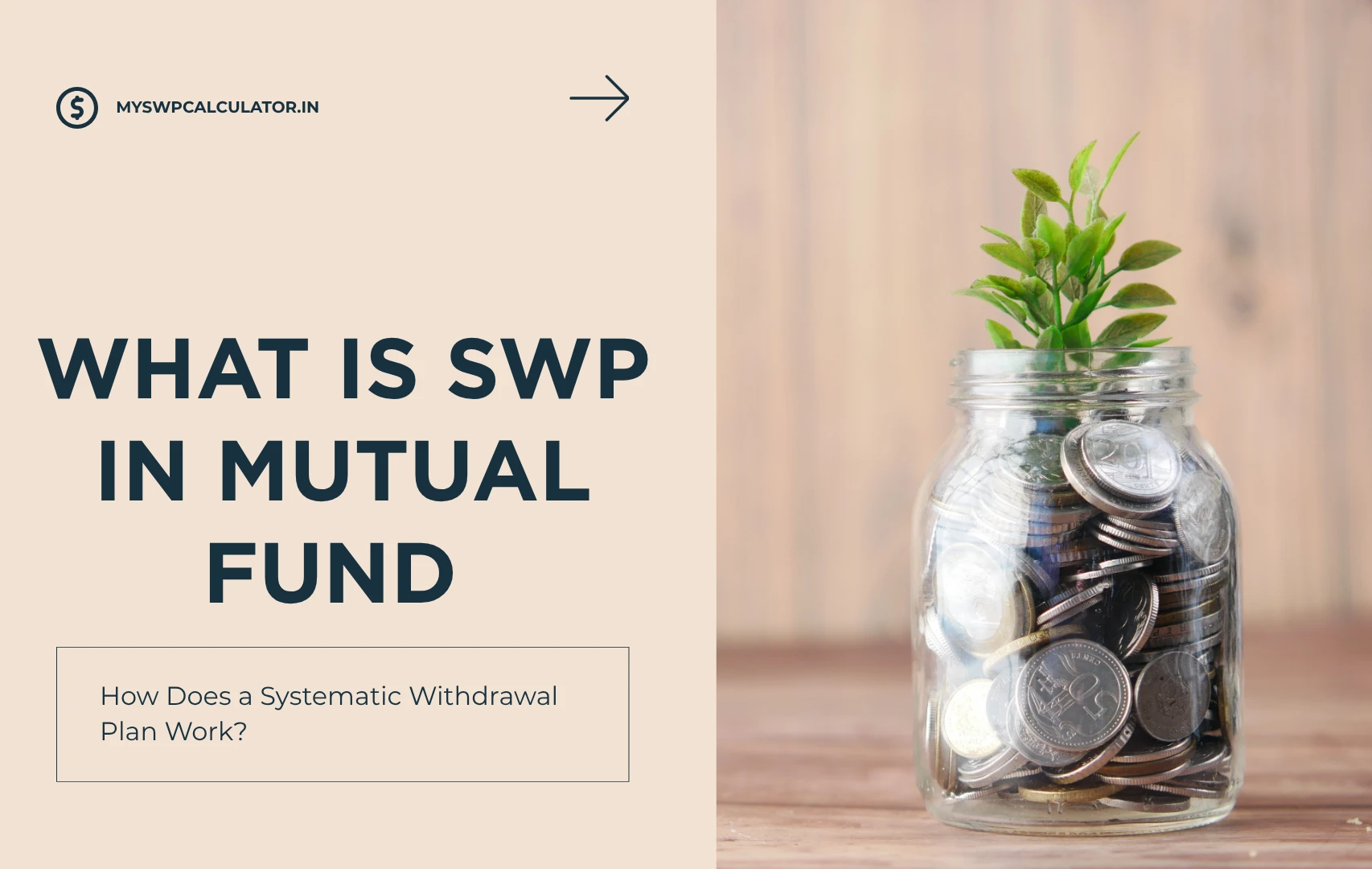 What is SWP [Systematic Withdrawal Plan] Investment in Mutual Fund ...